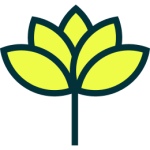 Remo Mobility - REMO Mobility